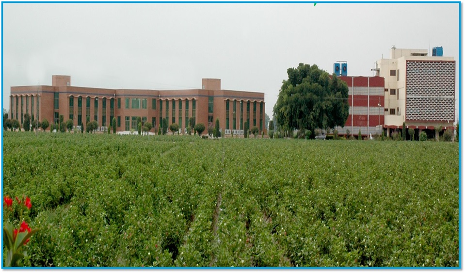 CENTRAL COTTON RESEARCH INSTITUTE MULTAN